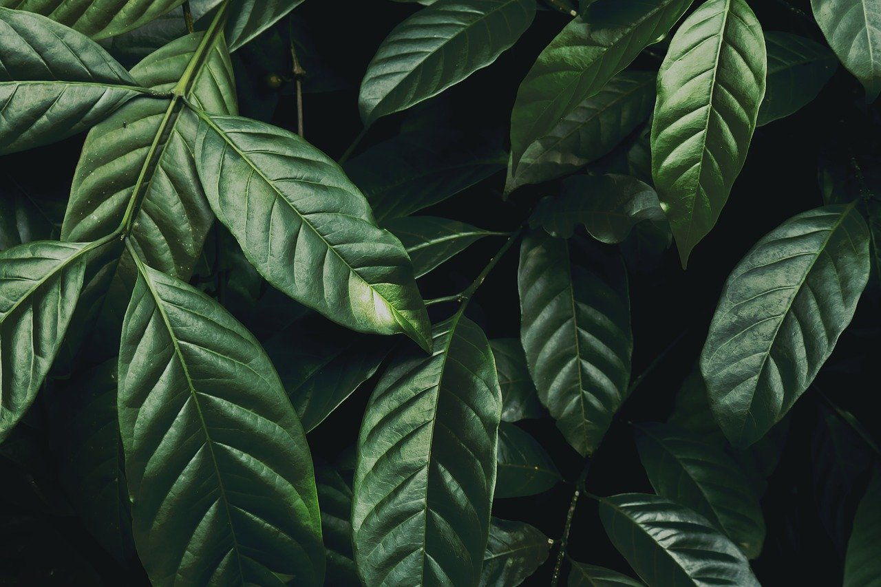 como usar los colores en marketing